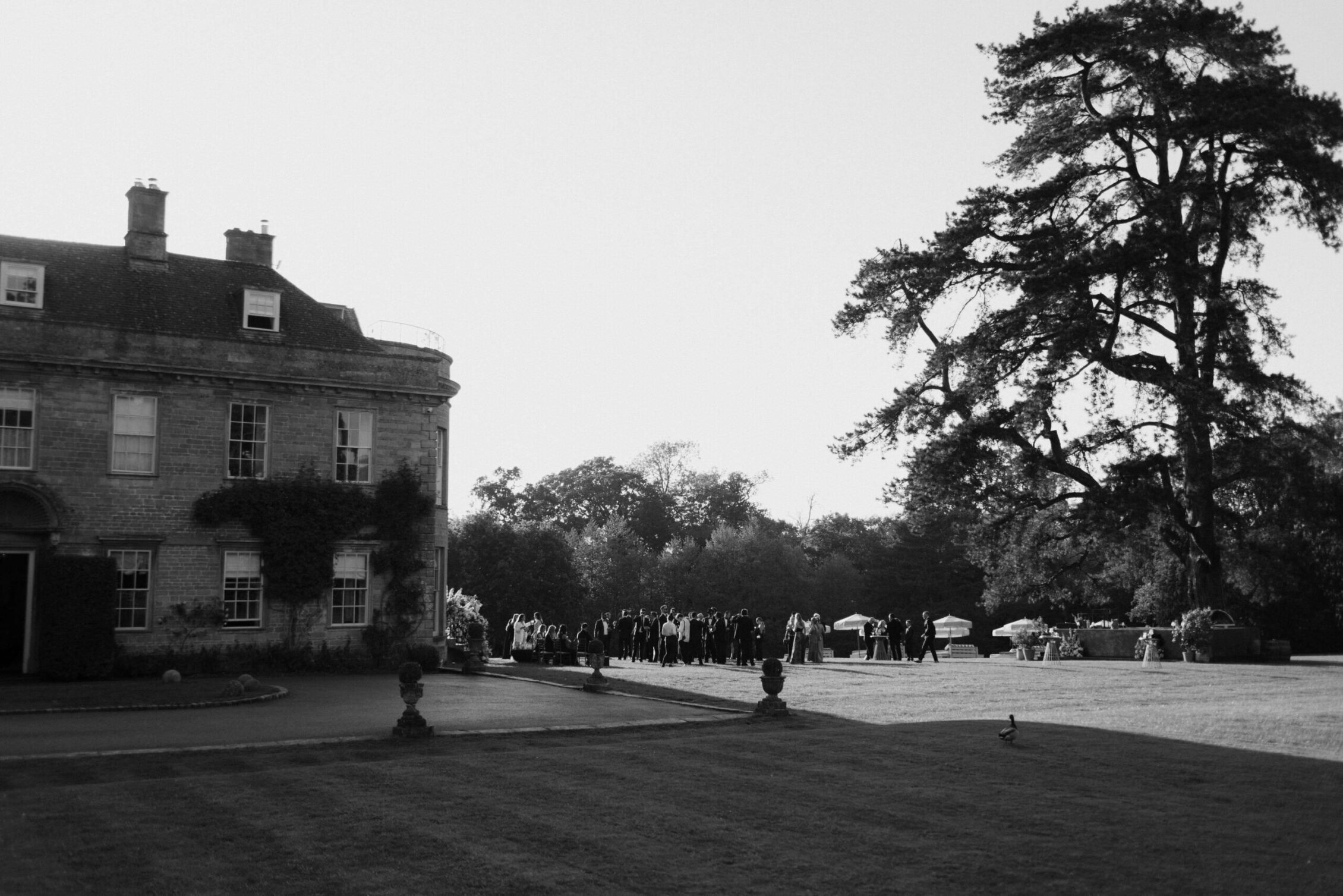 A Dreamy Destination Wedding At Babington House, In The Heart Of The ...