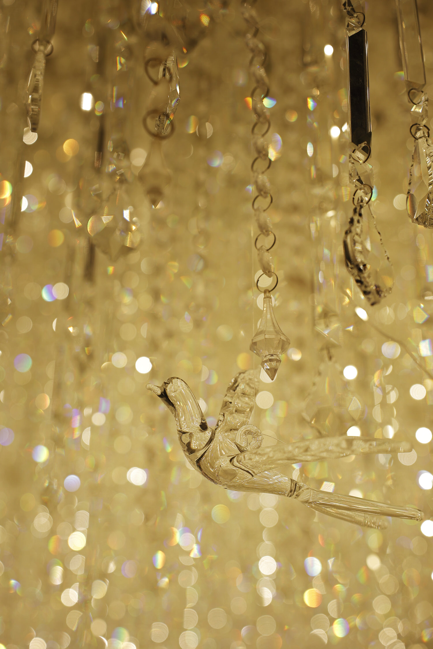 A close-up of a crystal chandelier with hanging pendants and a ...