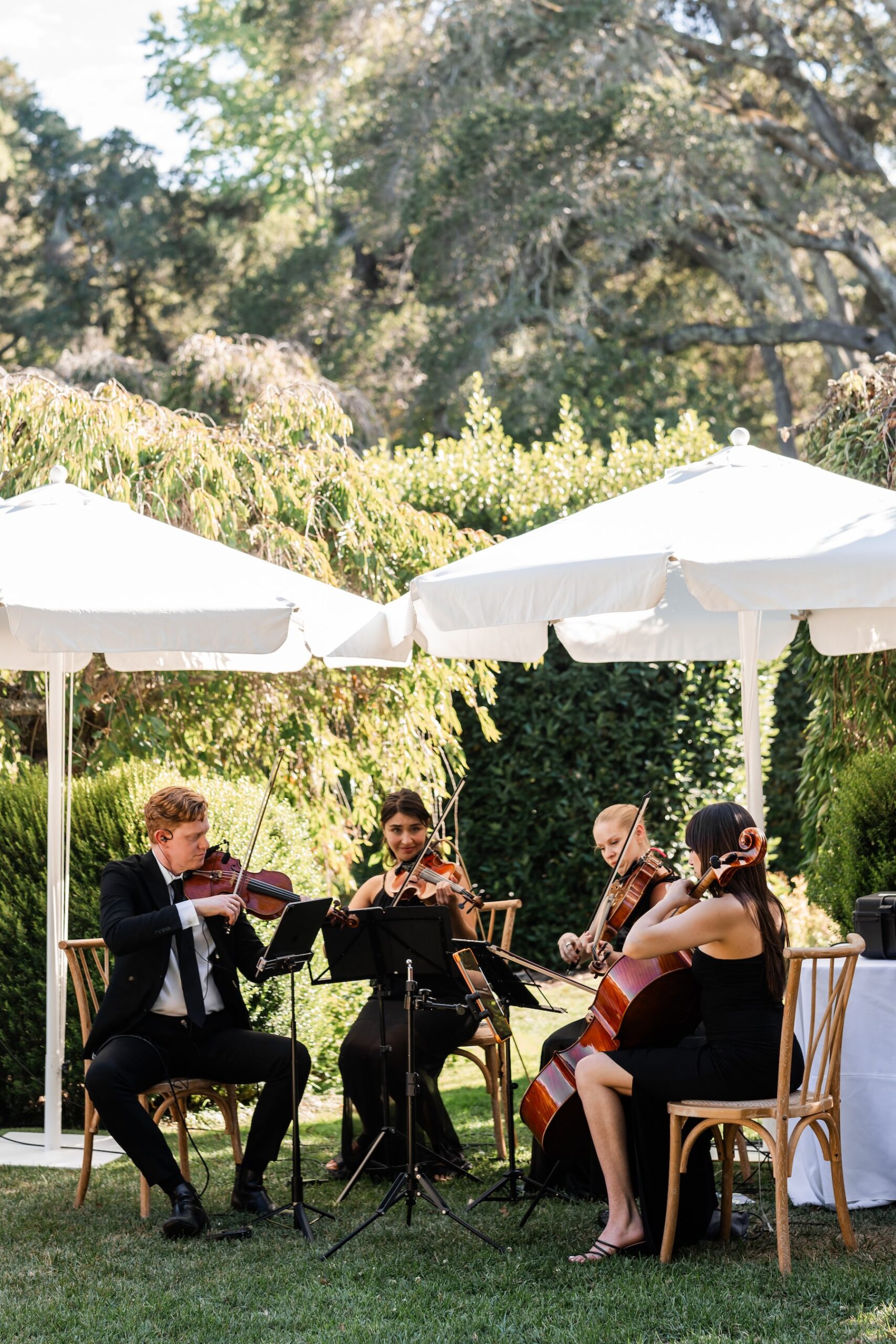 A string quartet, dressed in formal black attire, performs outdoors ...